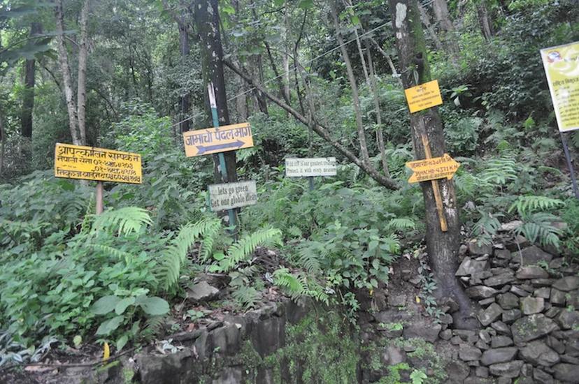 Jamacho Hiking : Shivapuri Nagarjun National park